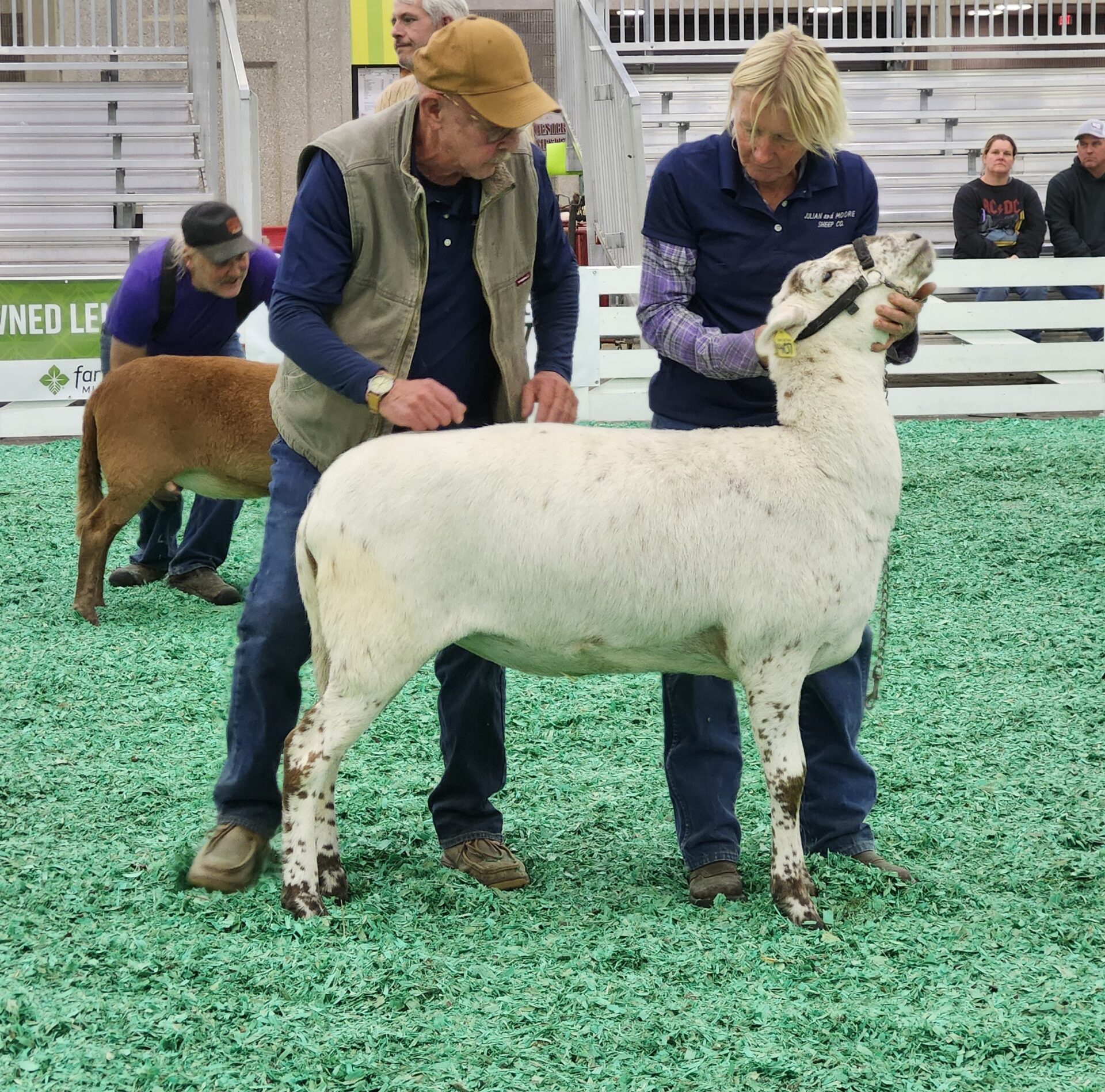 Show & Sale Results